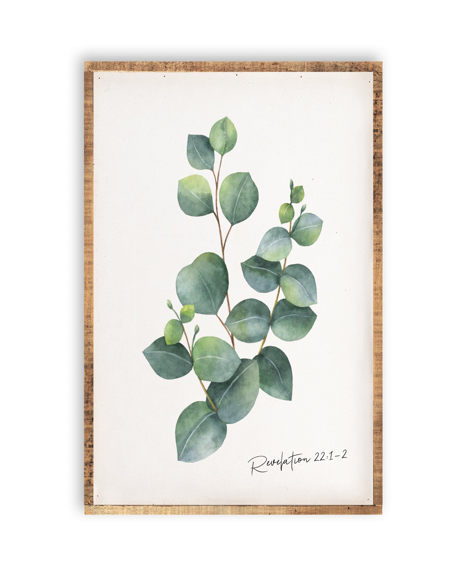 Botanicals Bundle – Revelation Culture