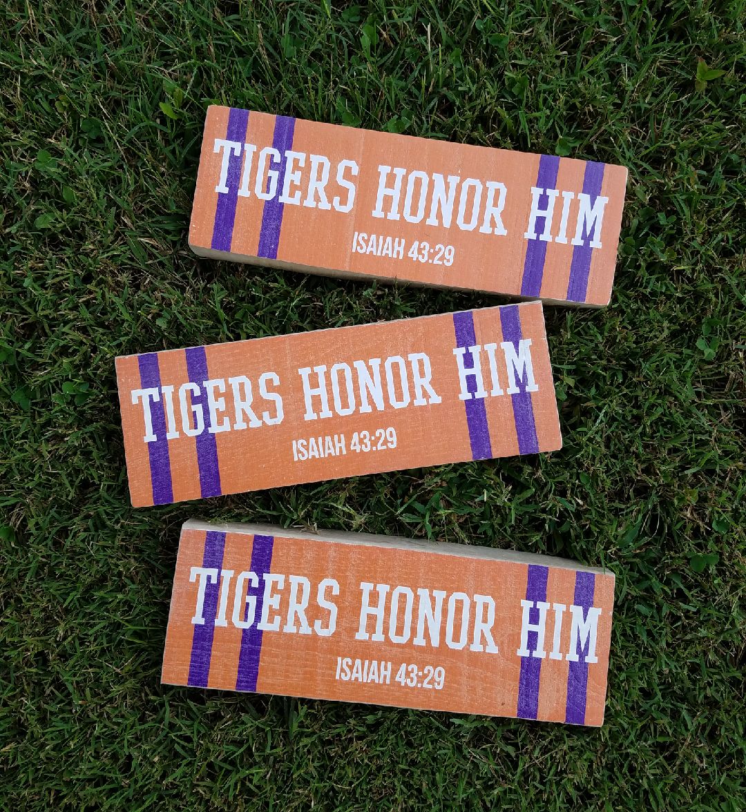 Tigers Honor Him – Revelation Culture